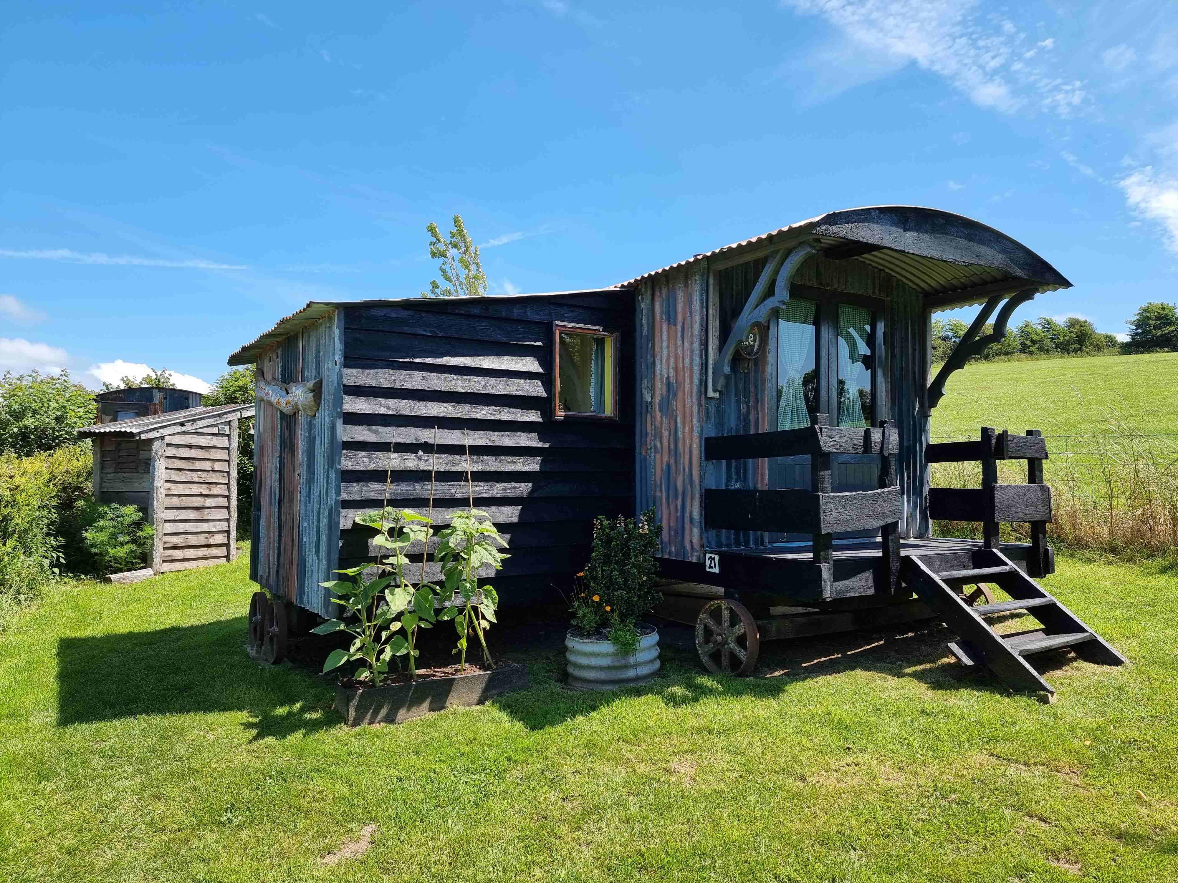 Campersite Camping In The Forest: Auf Hollands Wood Campsite